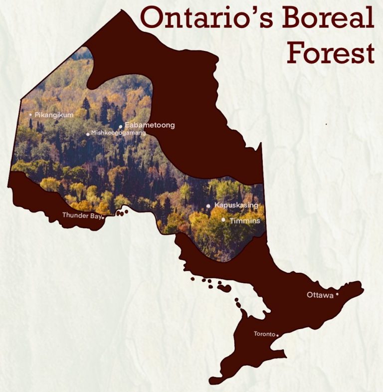 Ontario’s Boreal Forest, Wildfires, and Indigenous Futures - Field ...