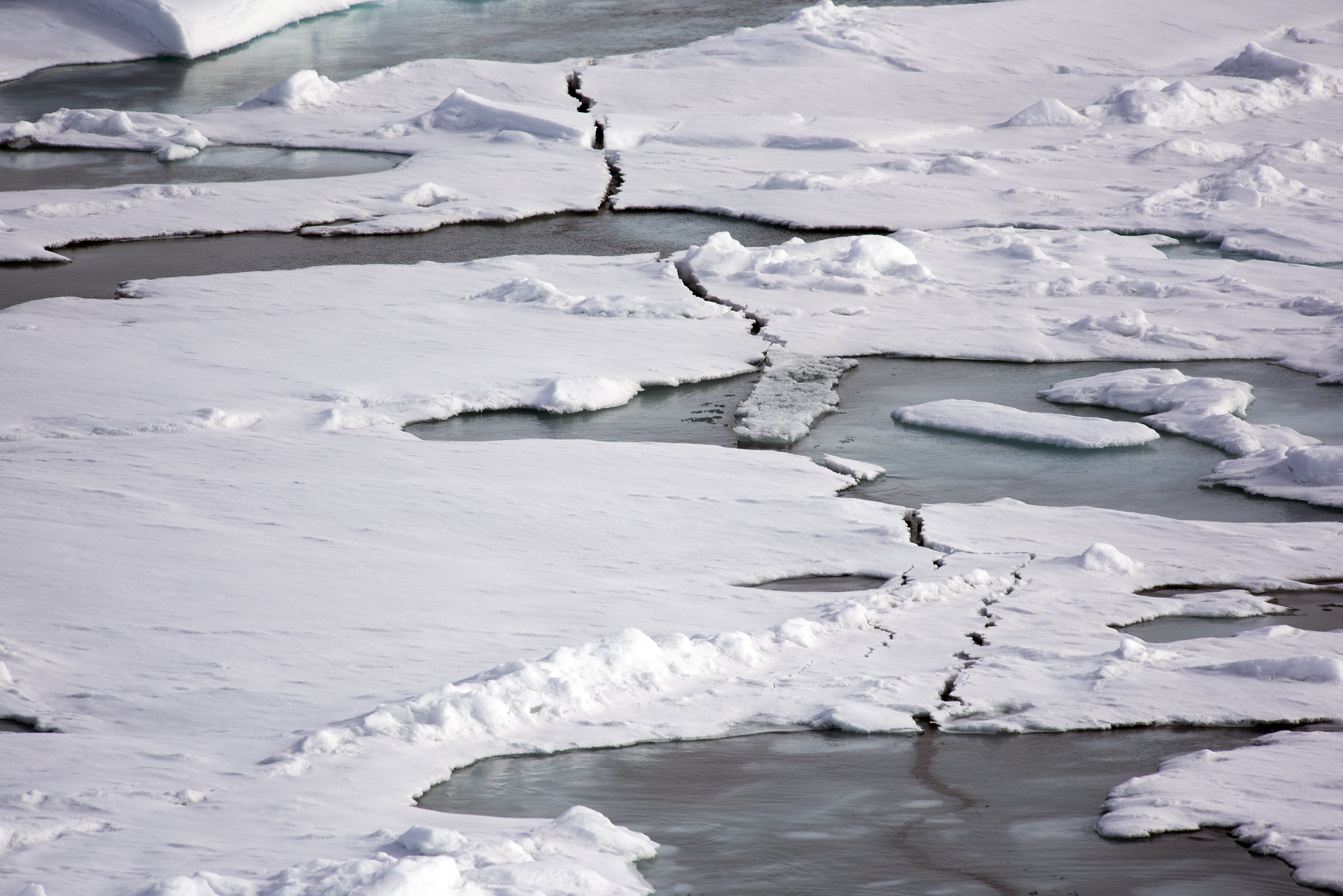 The Loss of Identity within the Ice Sheets - Field Guide to Lost Futures