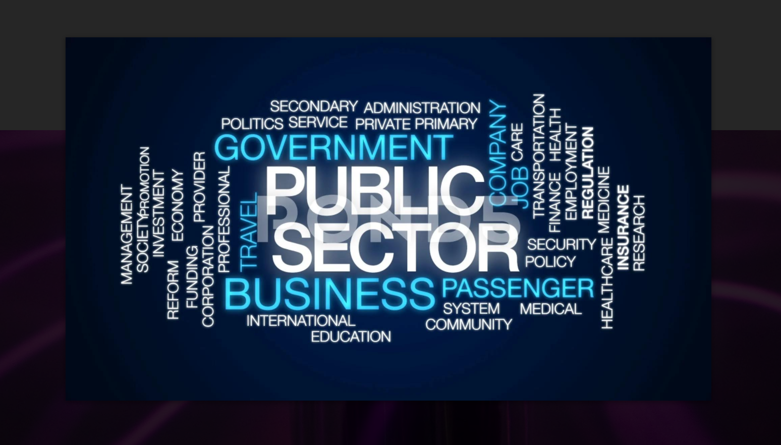 The Public Sector - Personal 2 Political Personal 2 Political